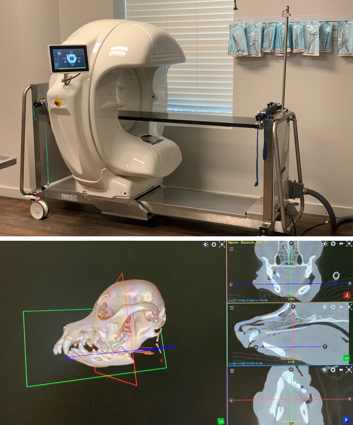 Veterinary In-House Diagnostics/Digital X-Ray in Middleburg & Orange ...